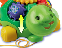 Roll & Learn Turtle | Push & Pull Toy | Vtechkids.com